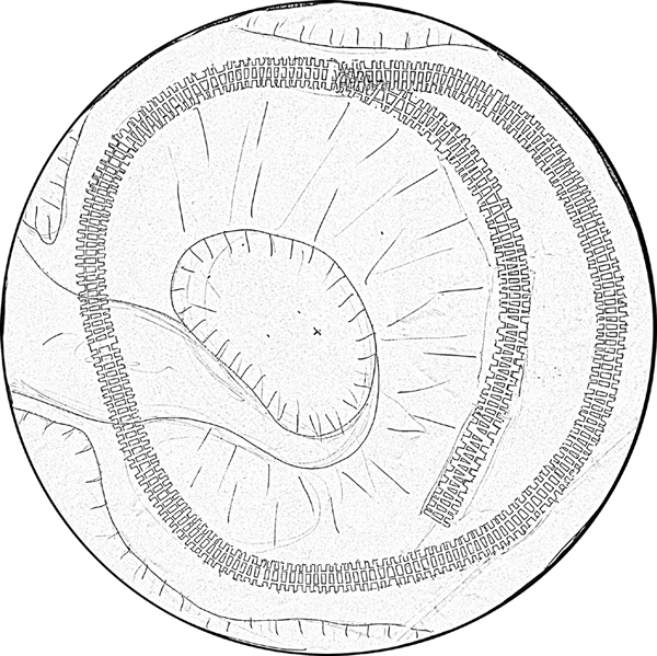 On30 Circular Logging Layout - Kathy Millatt Modelling