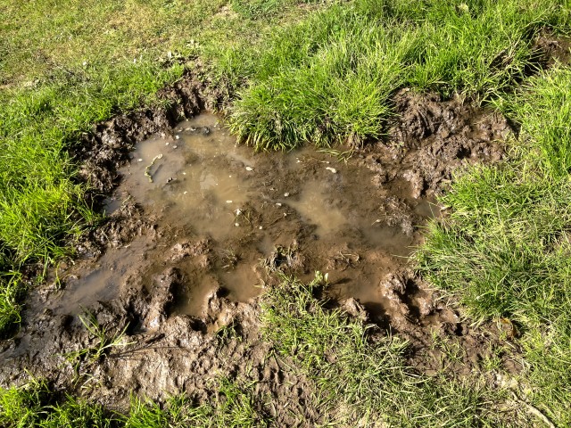 How to model puddles using easily available materials - Kathy Millatt ...