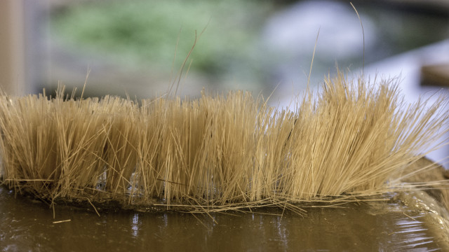 How to Model Dead Reeds or Rushes - Kathy Millatt Modelling