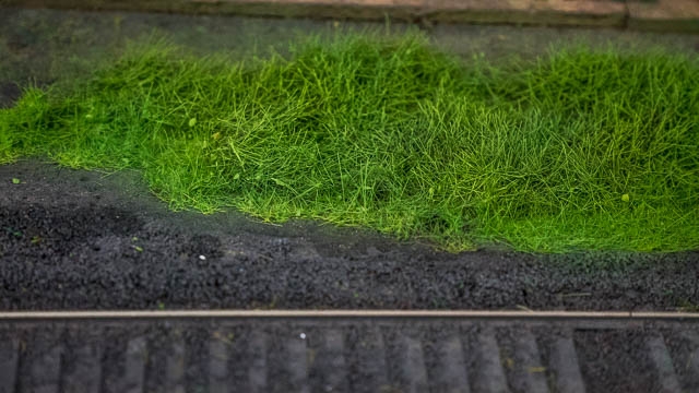 How to Paint Static Grass to Change the Colour - Kathy Millatt Modelling