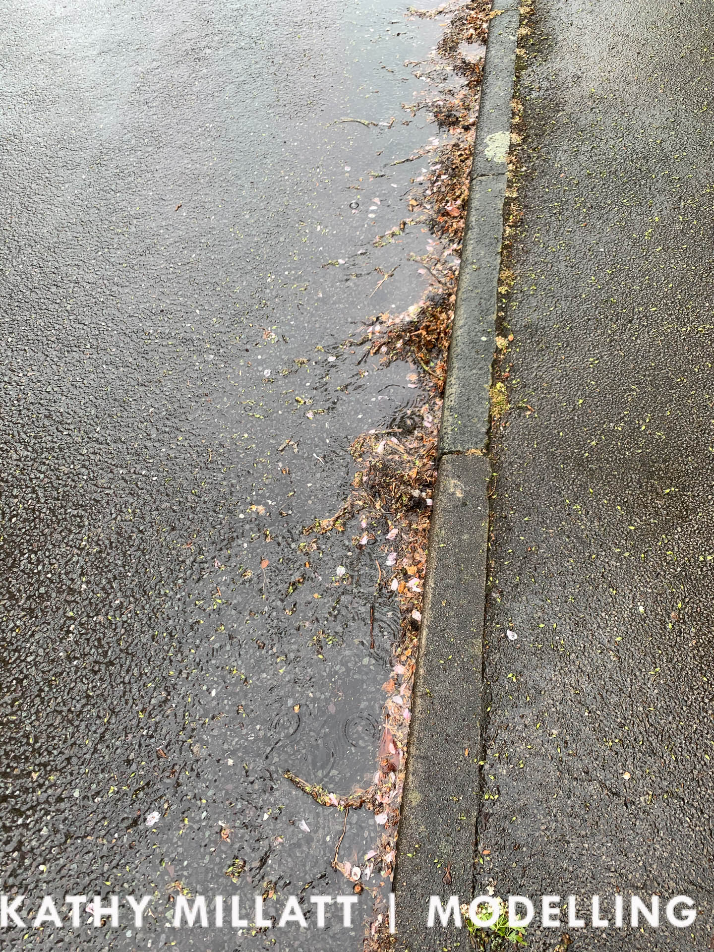 Model a Realistic Rain Diorama - Kathy Millatt Modelling