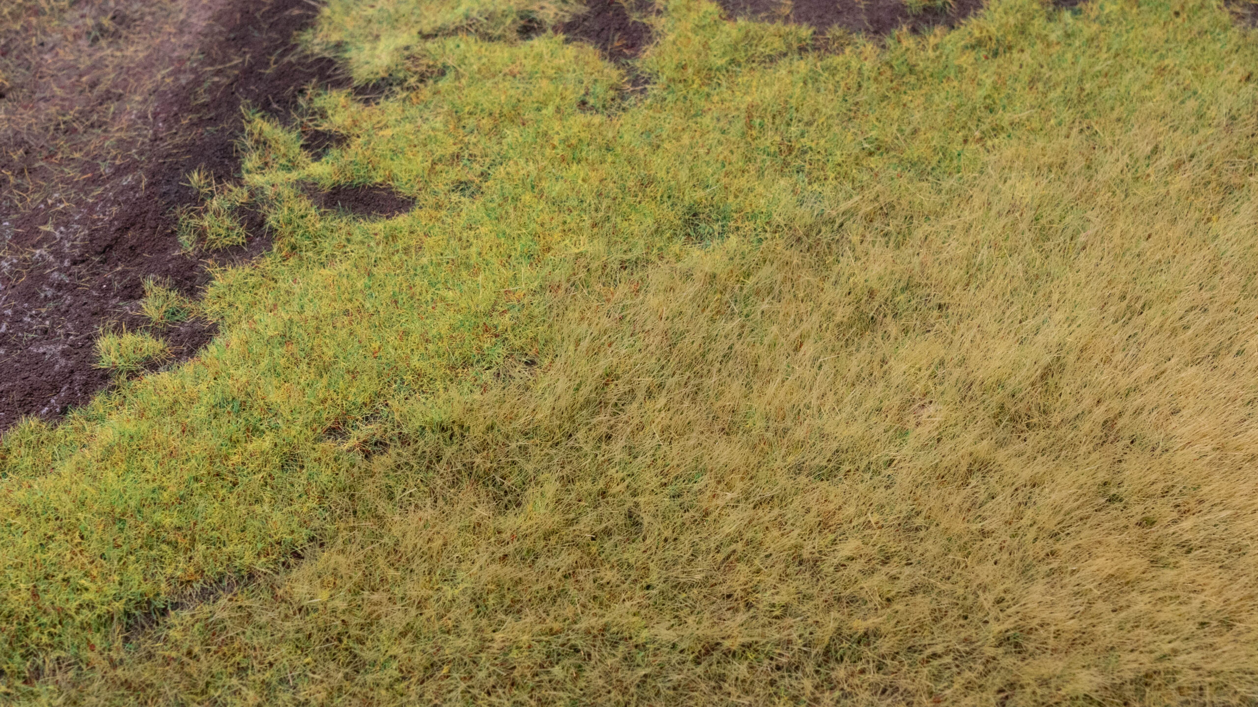 Starting Scenery: Grass - Kathy Millatt Modelling