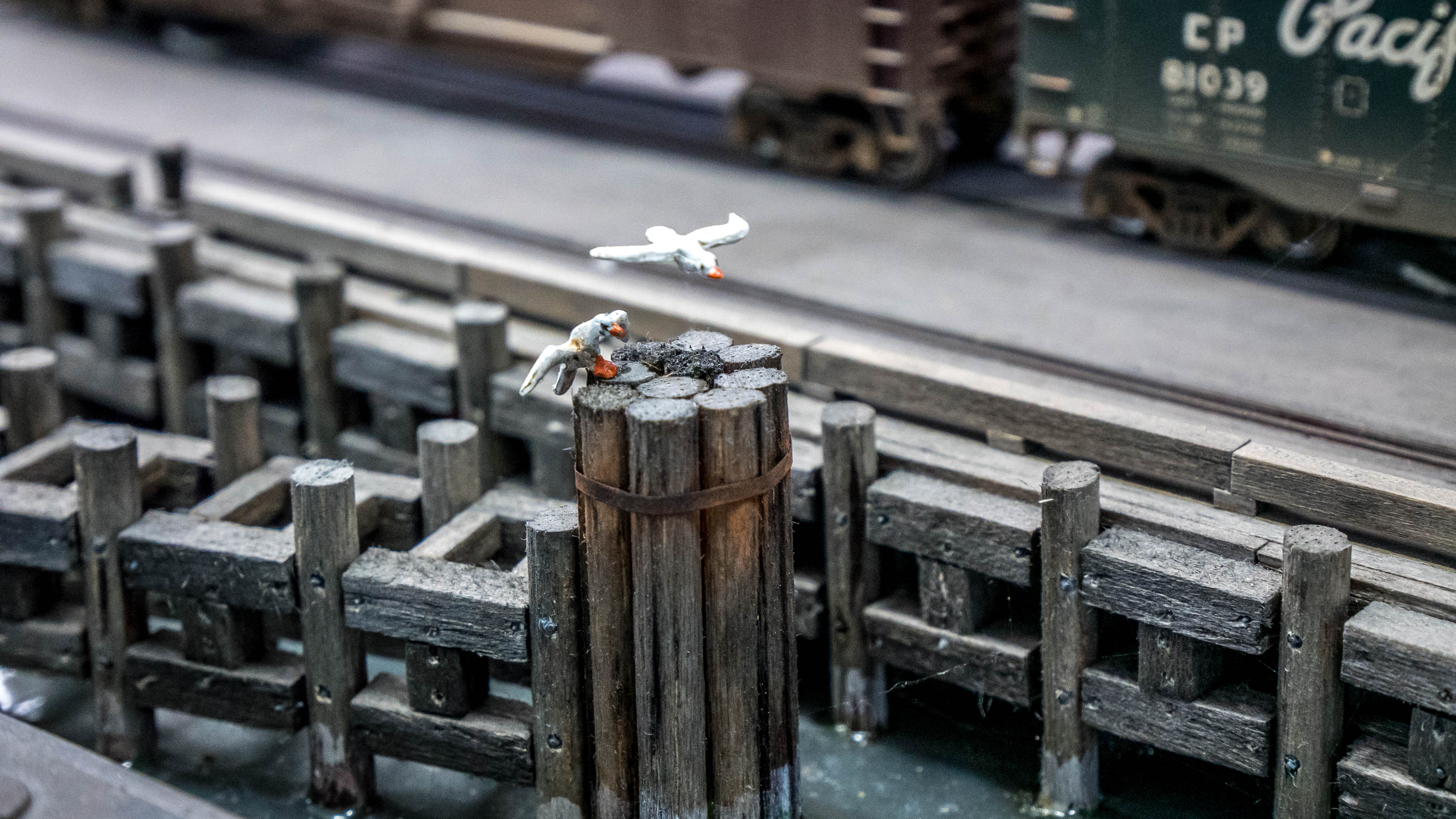 Portfolio - Kathy Millatt Modelling