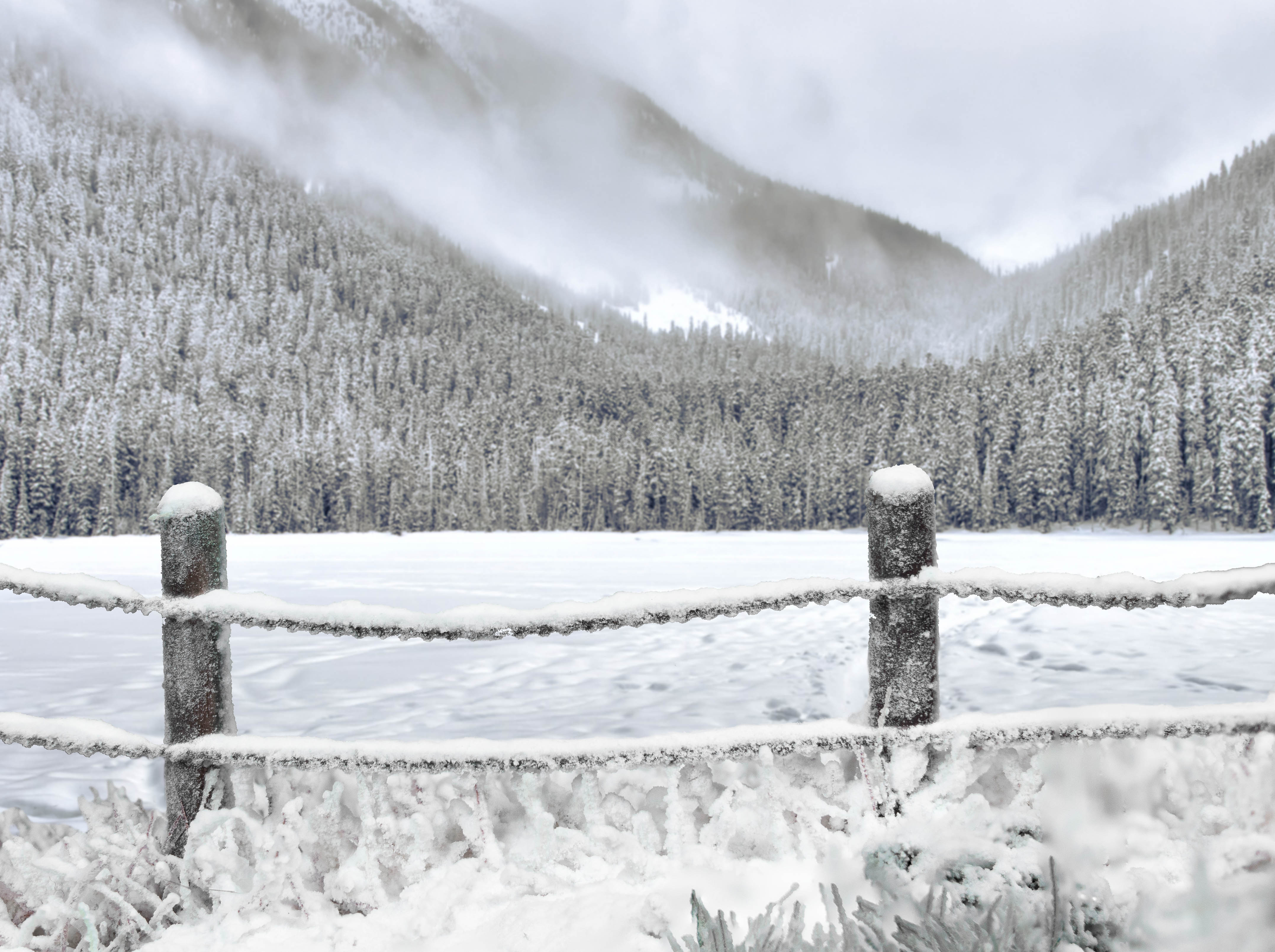 Portfolio - Kathy Millatt Modelling