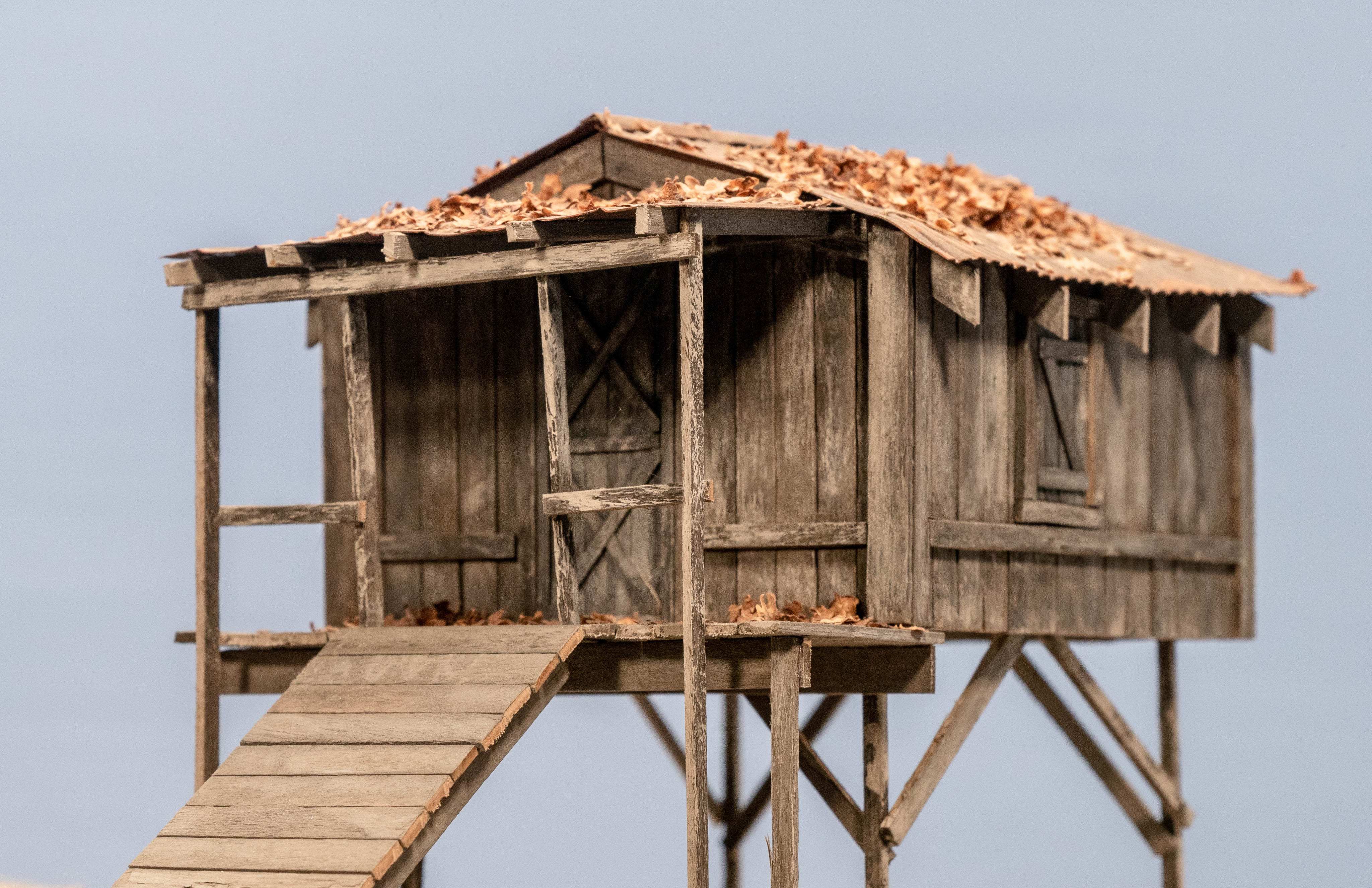 Portfolio - Kathy Millatt Modelling